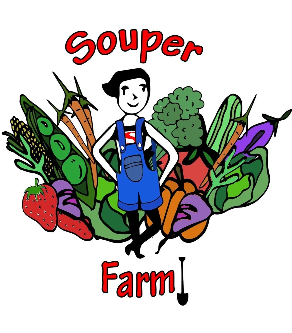 Souper Farm Fall Regenerative Gardening & Cover Crops Class — Food Well ...