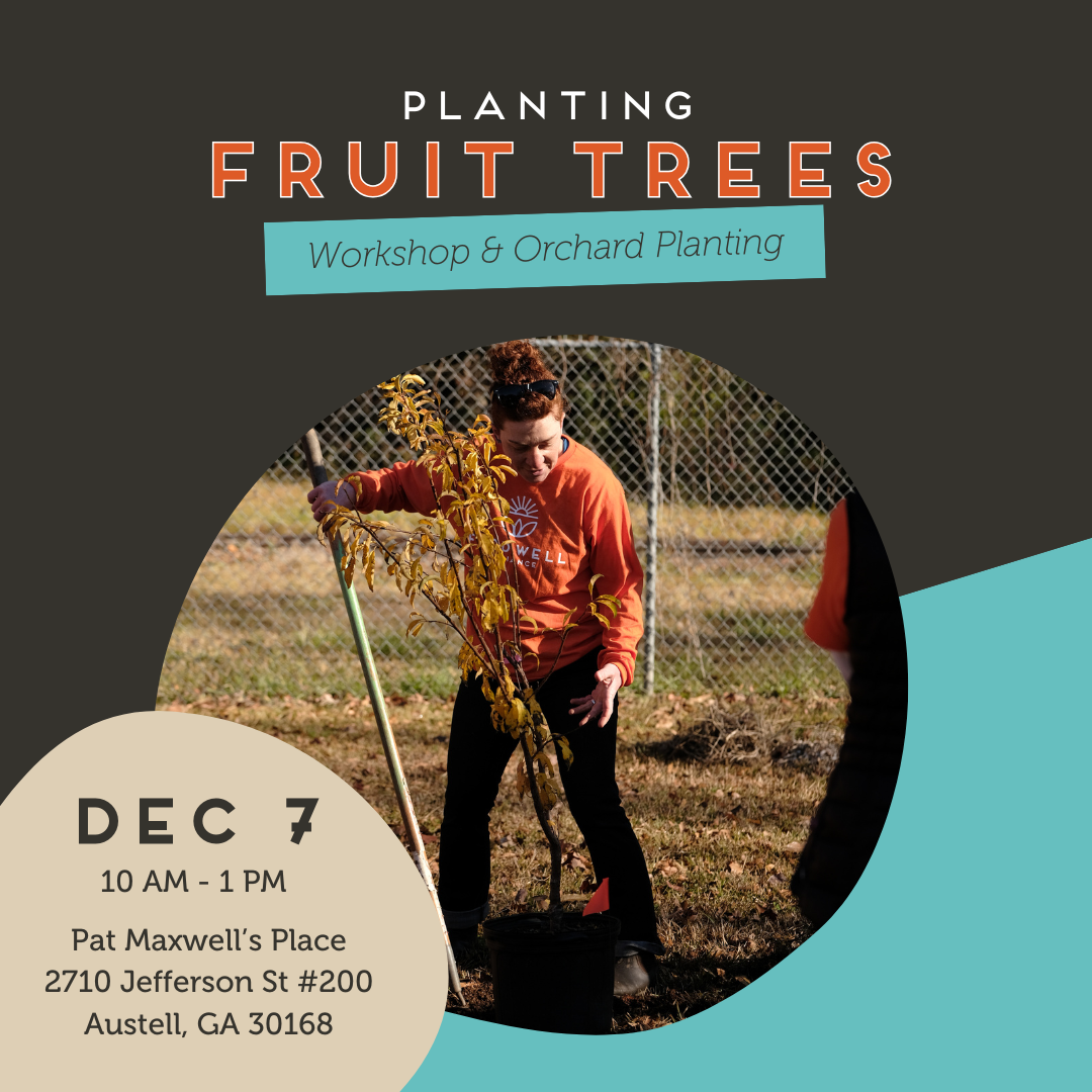 Fruit Tree Workshop & Orchard Planting at Pat Maxwell's Place — Food ...