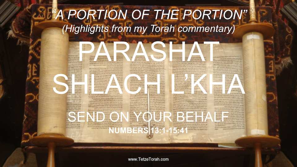 Weekly Torah Portions — The Harvest