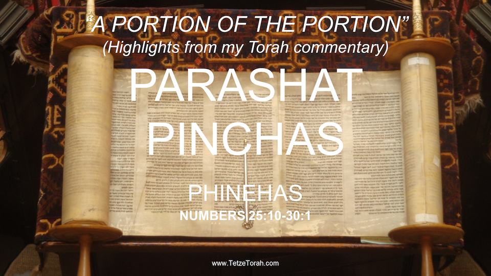 Weekly Torah Portions — The Harvest