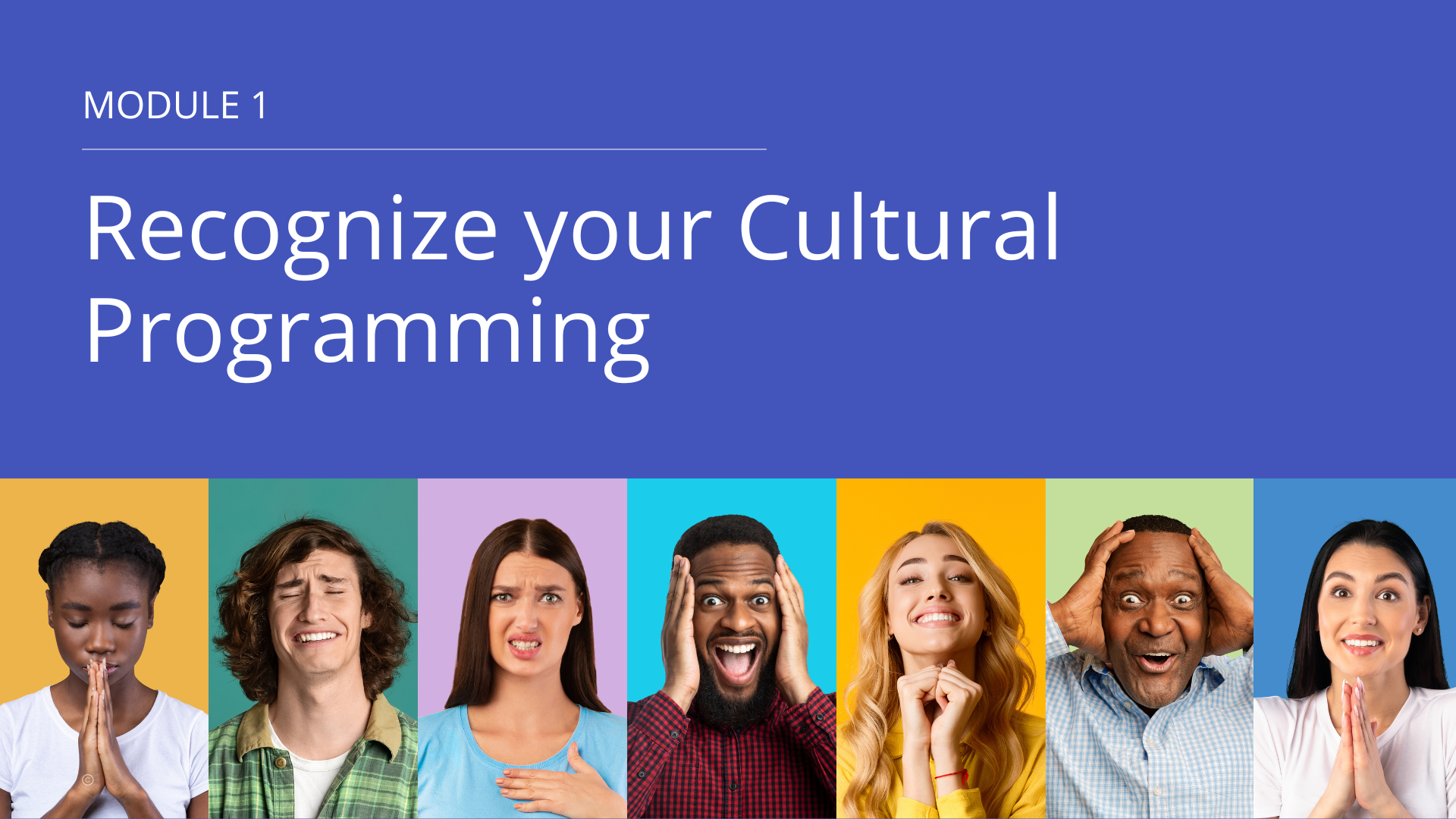 Cultural ROI Course — Culture Crossing - Consulting for the Global ... Cultural ROI Course — Culture Crossing - Consulting for the Global ...