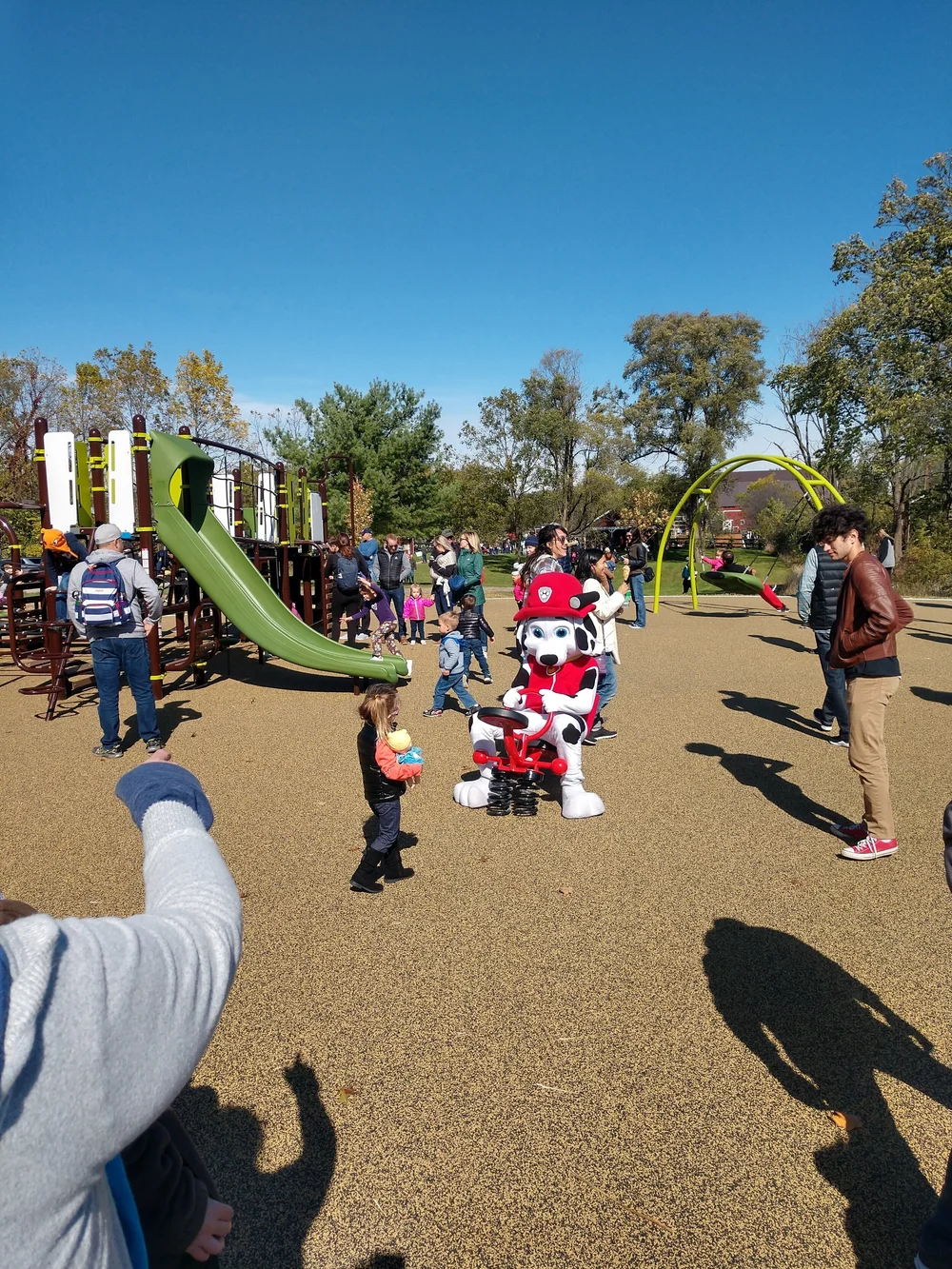 Are Dogs Allowed At Maybury State Park