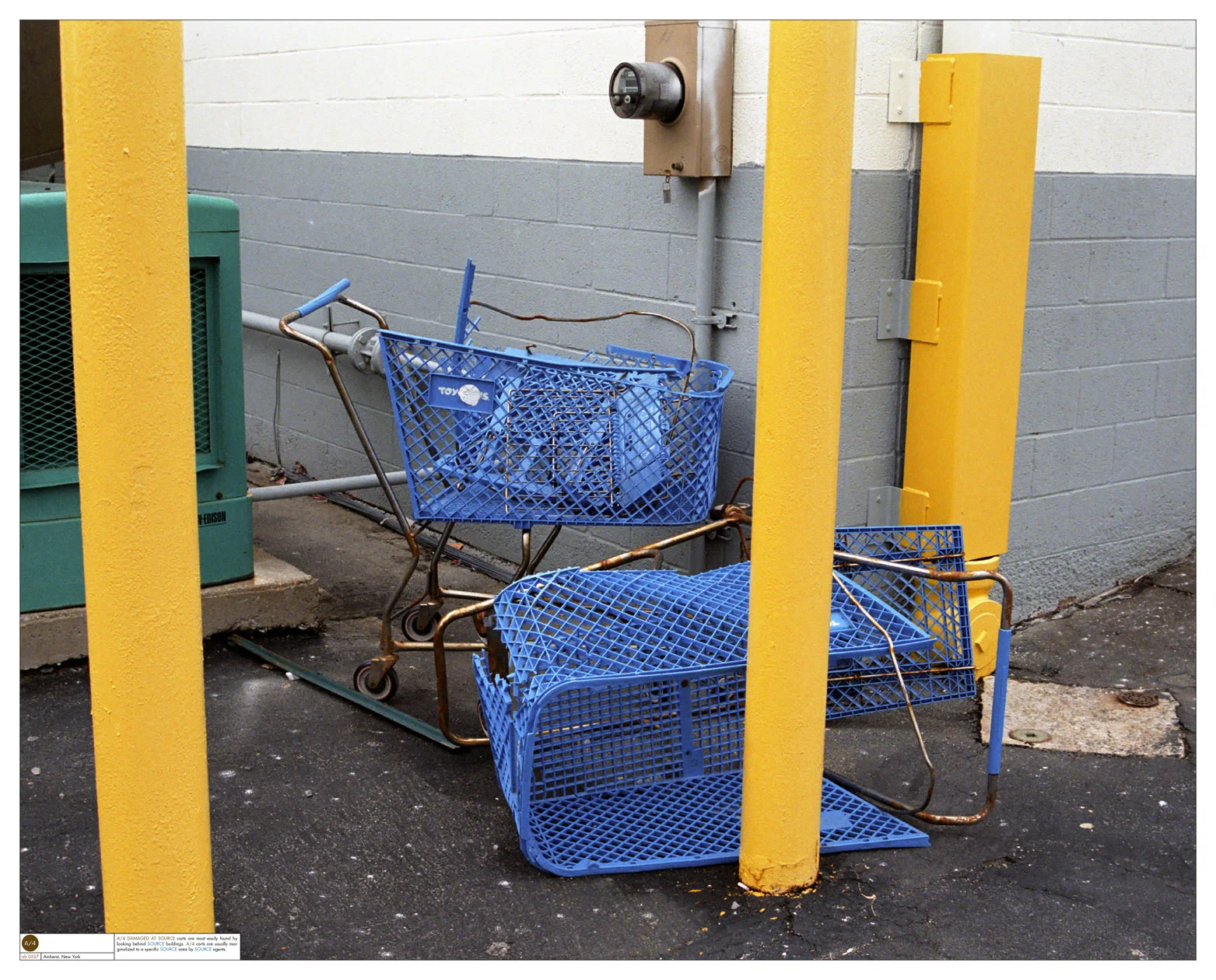 The Stray Shopping Cart Project — Montague Projects