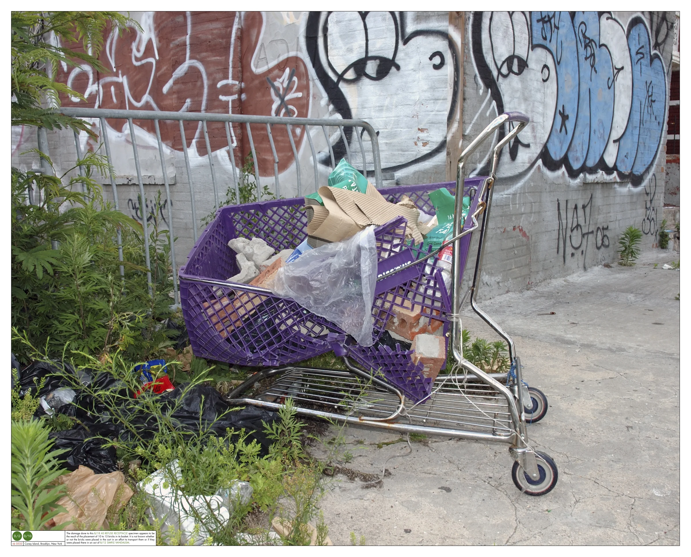 The Stray Shopping Cart Project — Montague Projects