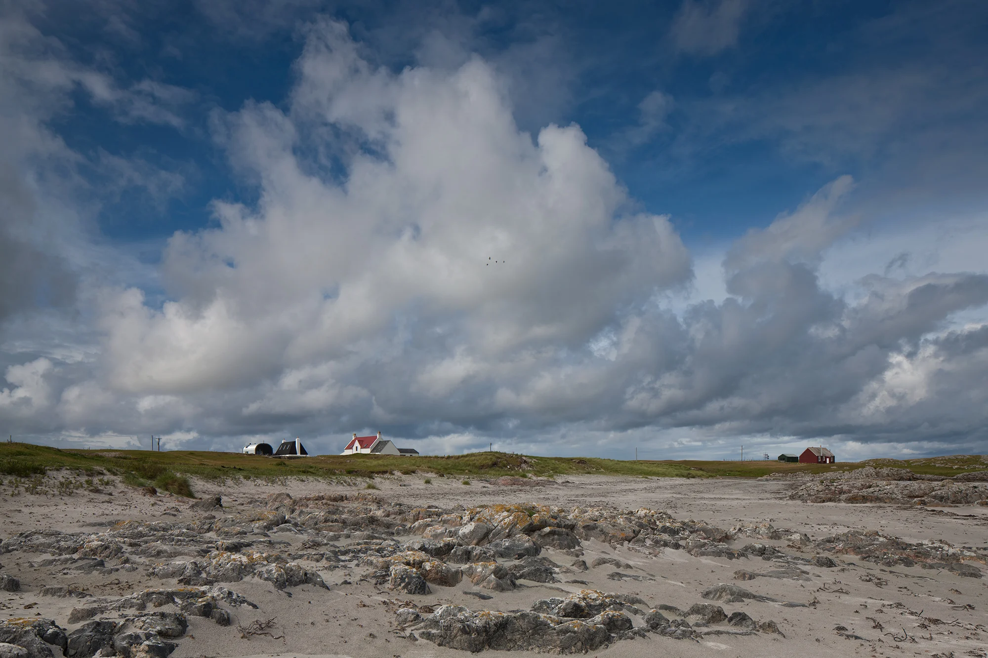 House No. 7 — DENIZEN WORKS