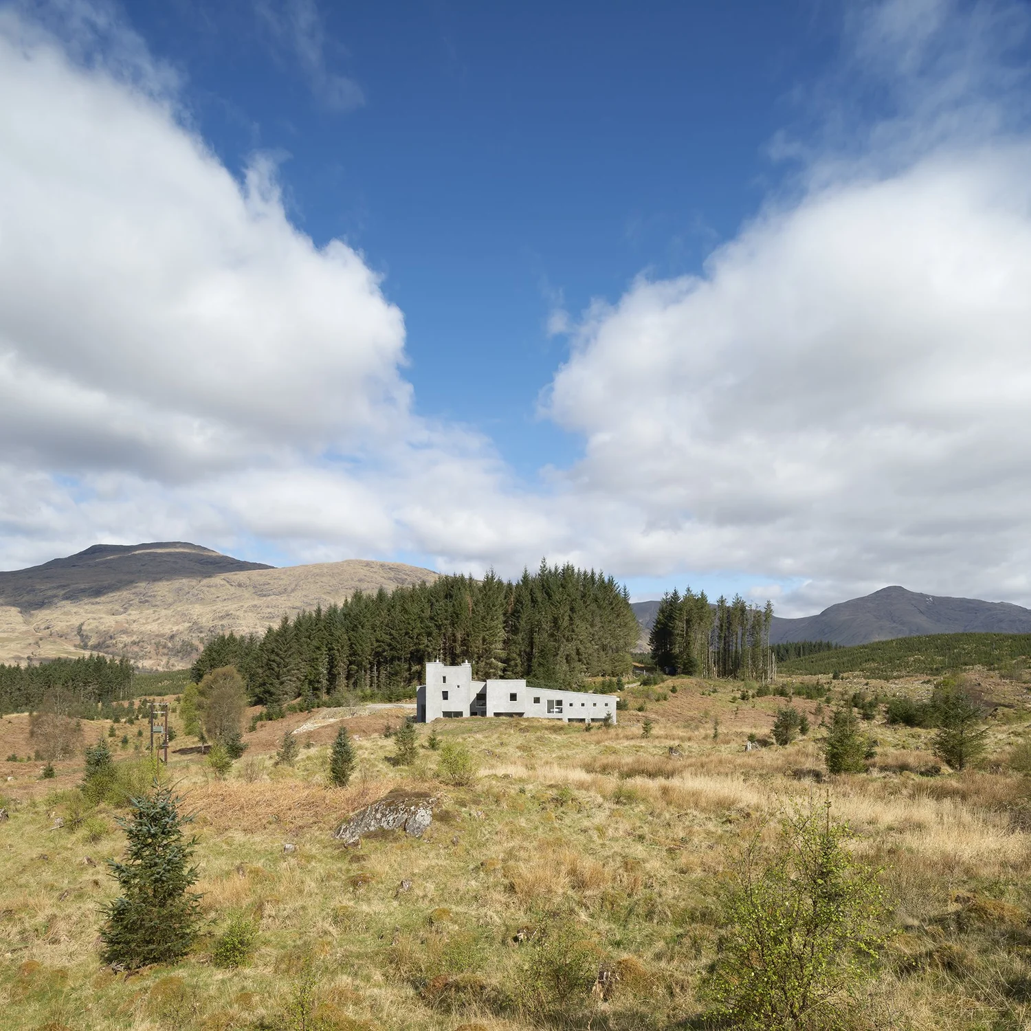 100 Acre Wood — DENIZEN WORKS