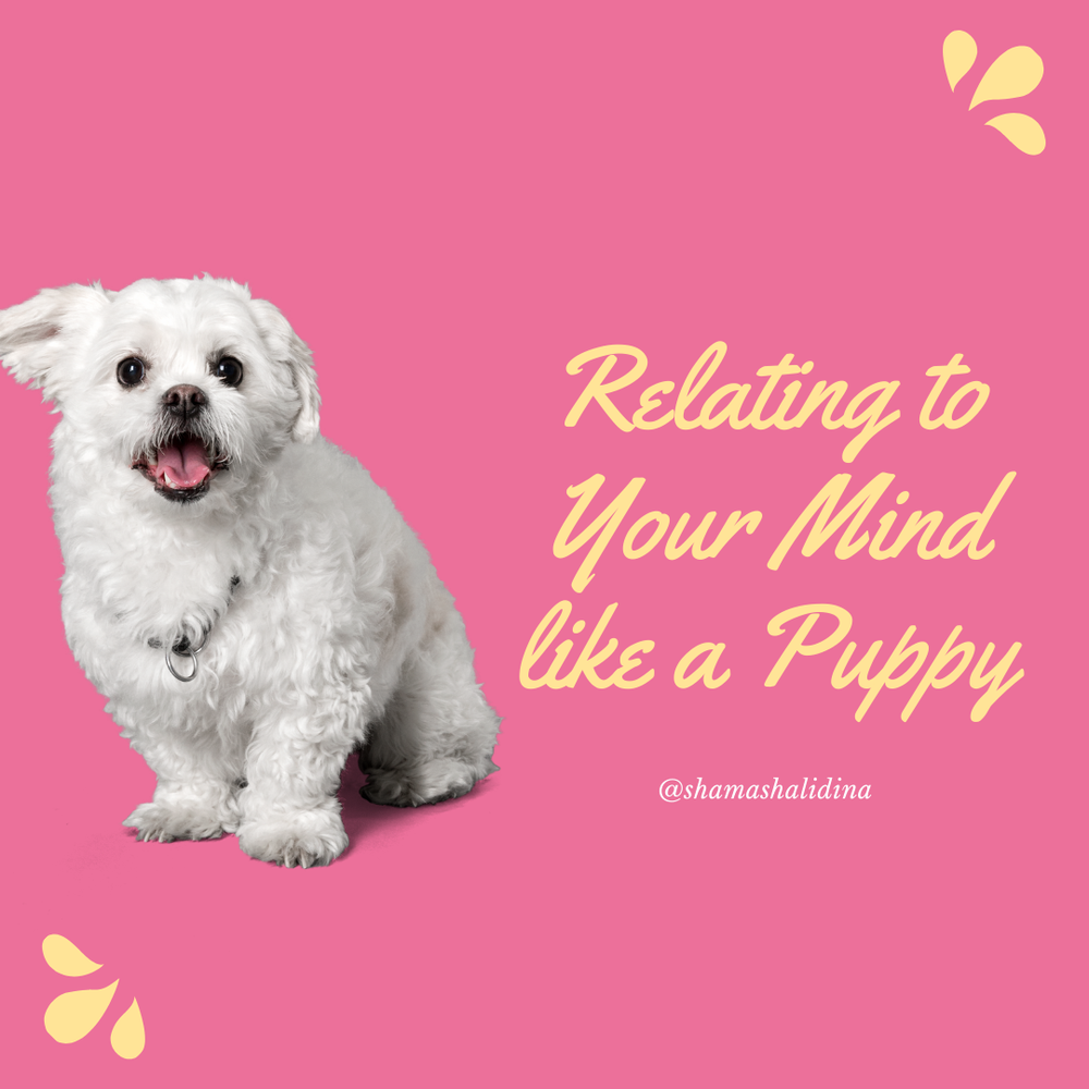 Want to LOVE Meditation? Use This Technique To Treat Your Mind Like a ...