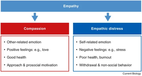 Concerned About Burnout? Try Moving from Empathy into Compassion