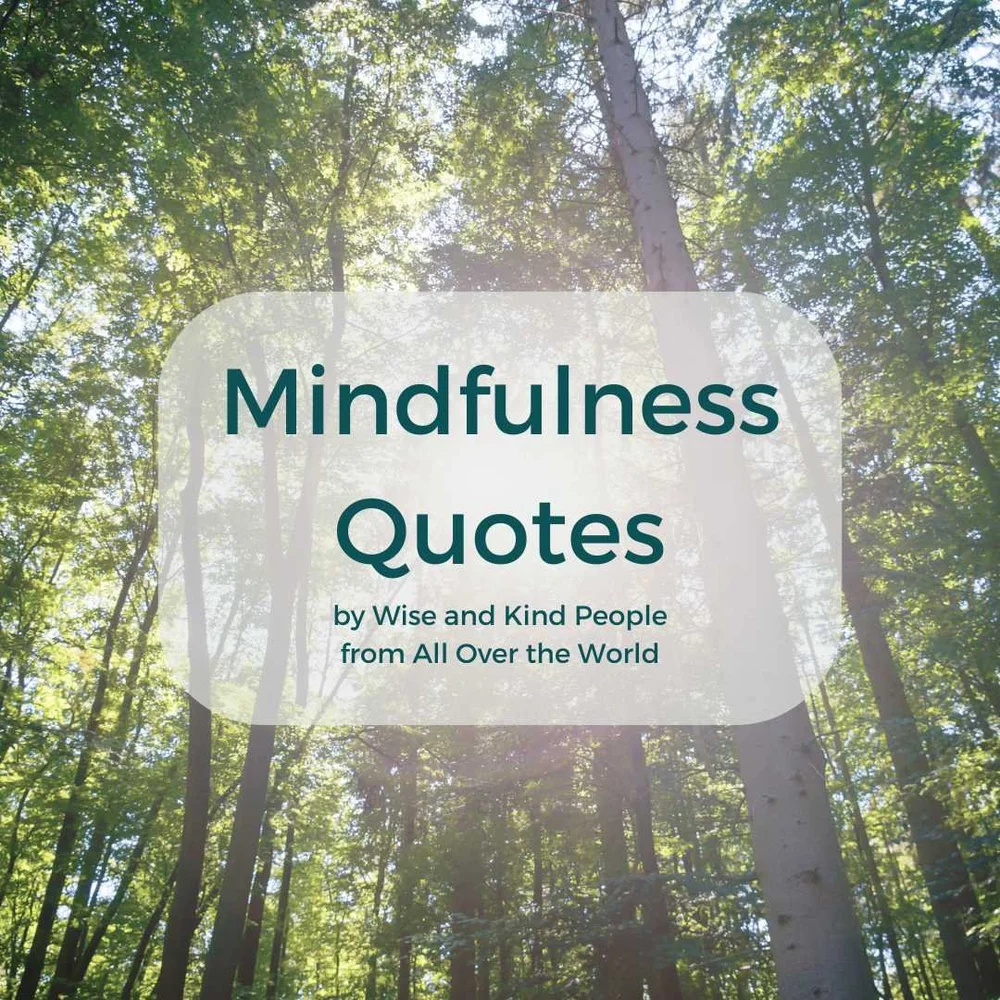 200+ of the Best Mindfulness Quotes Of All Time