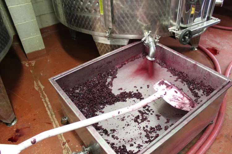 Traditional Chianti Classico Experience — Curious Appetite