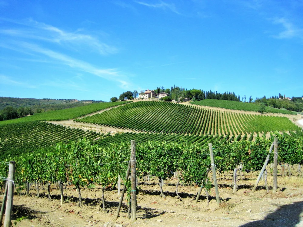 Traditional Chianti Classico Experience — Curious Appetite