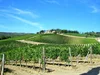 Traditional Chianti Classico Experience — Curious Appetite