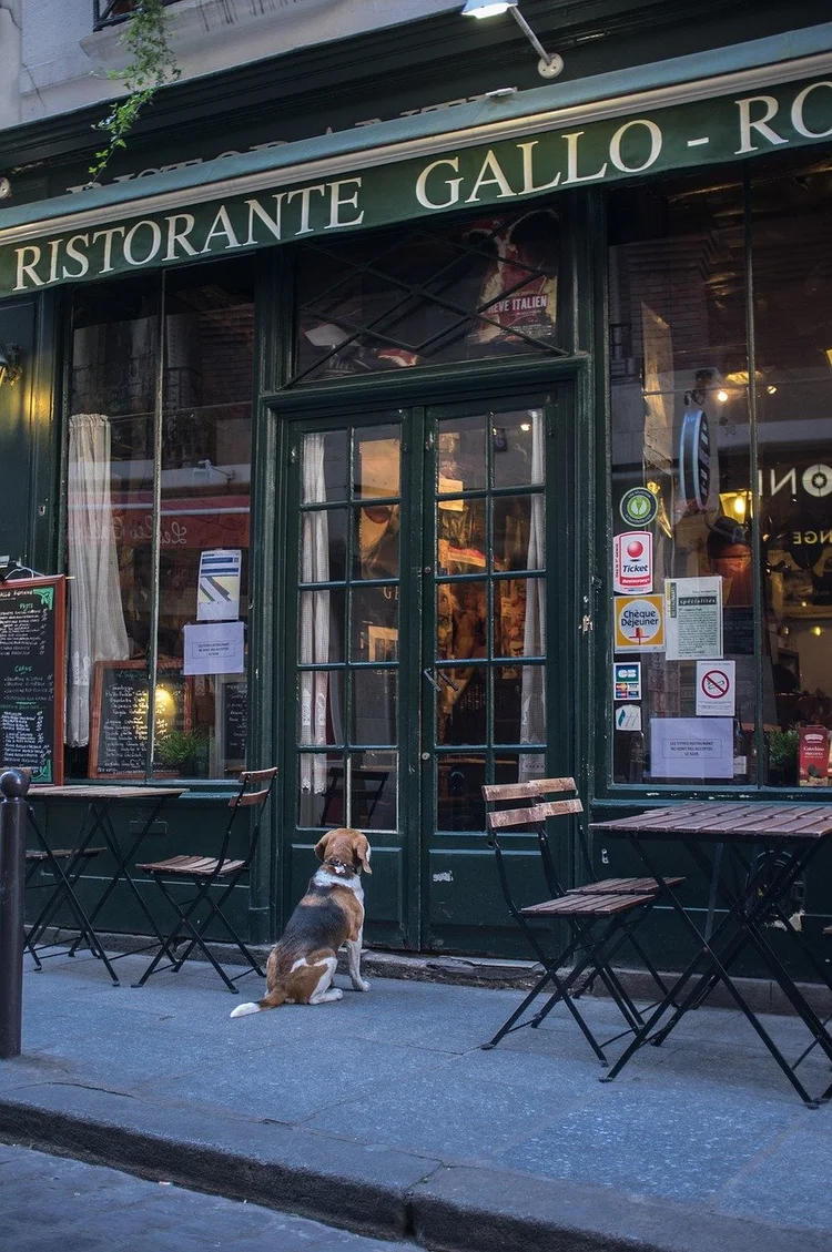 The differences between Osteria, Trattoria and Ristorante in Italy ...