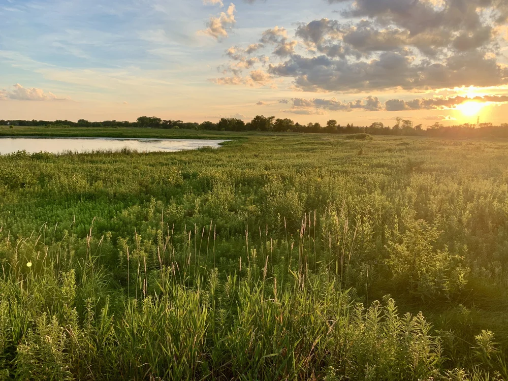 Go Birding — Lake County Audubon Society