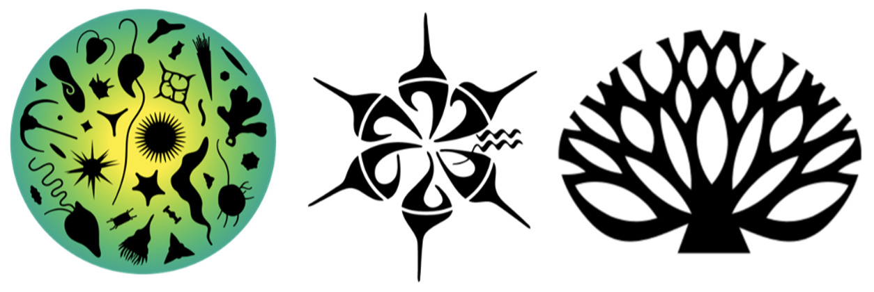 Meetings — Phycological Society of America