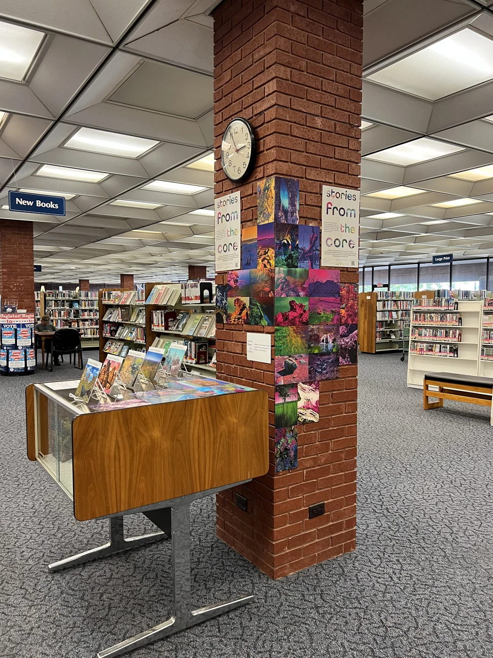 Lawton Library-Installation — Sarah Ahmad