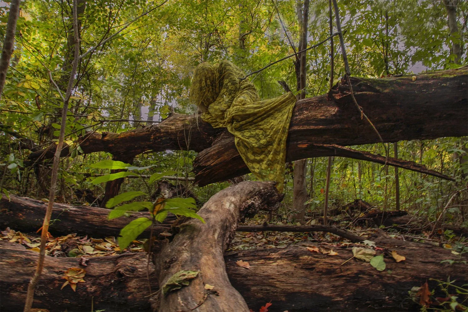 home [www.sarahahmad.com]