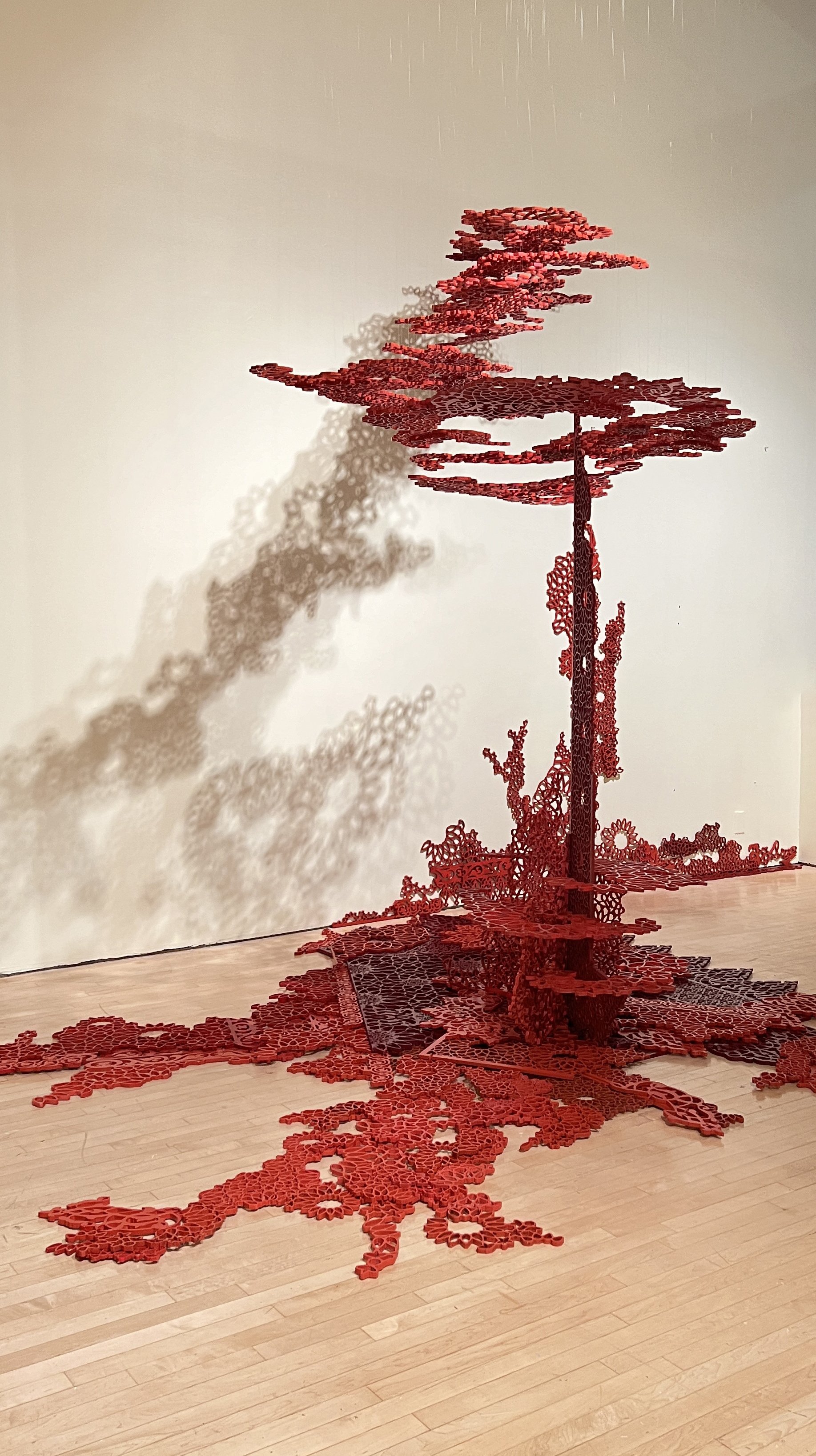 Jaali III — Sarah Ahmad