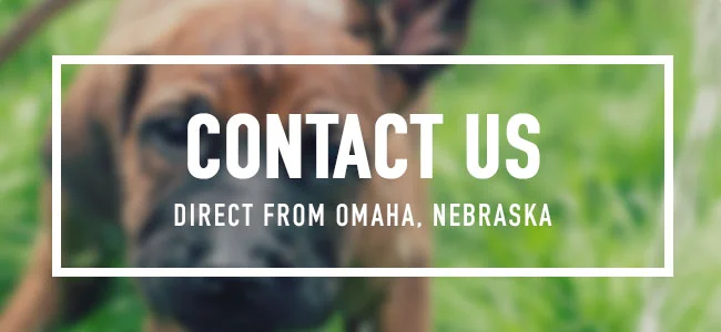 Contact — Butcher's Block Pet Treats