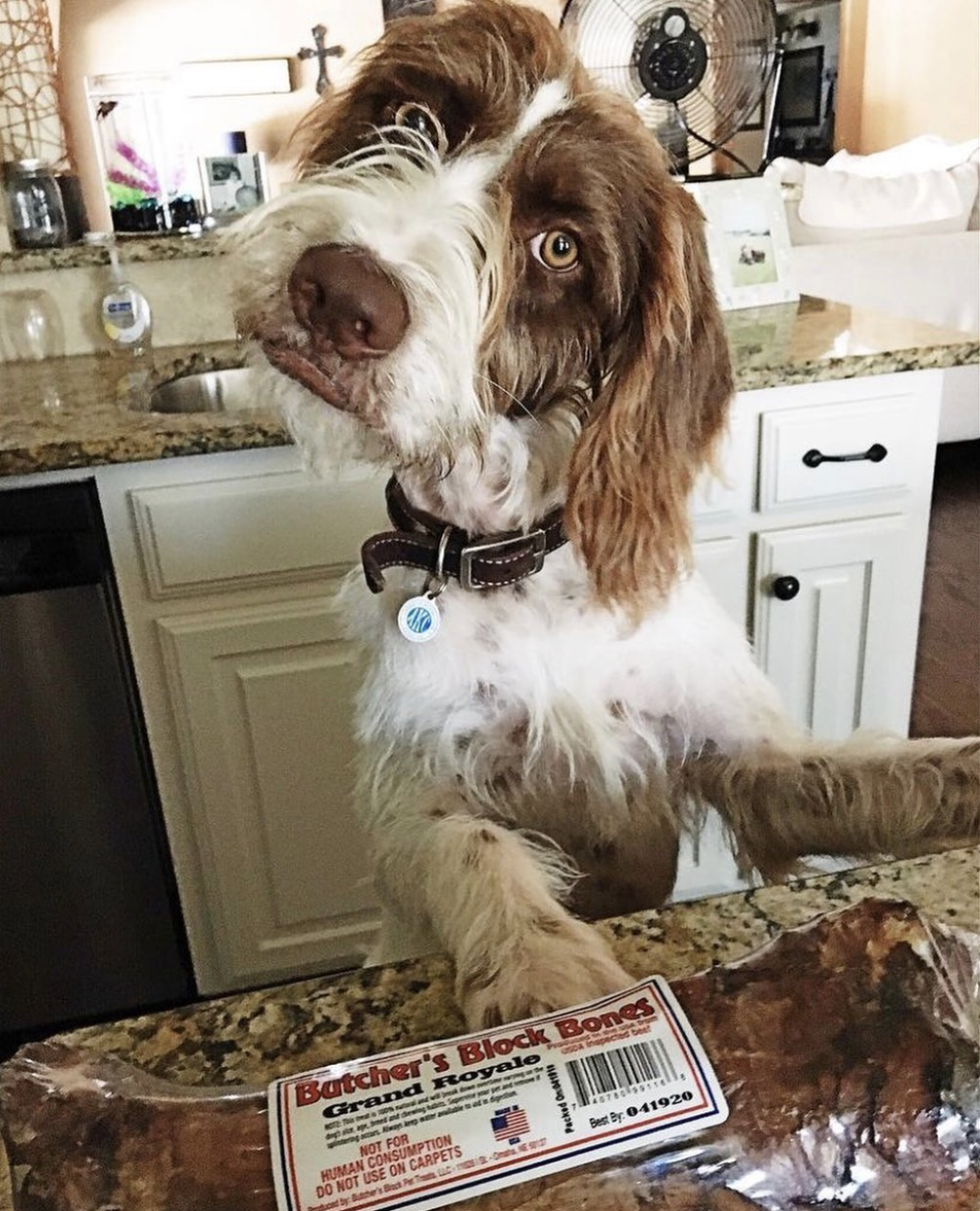 FAQs — Butcher's Block Pet Treats