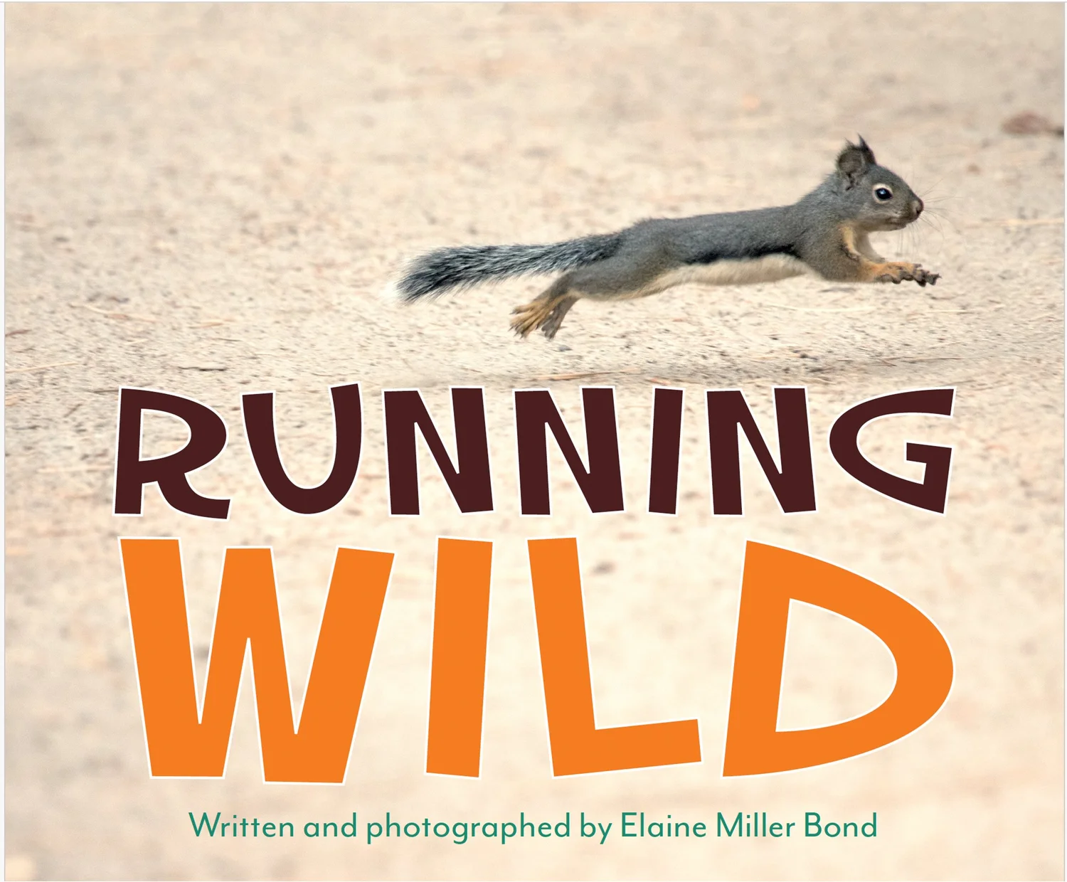 Wild Colors--Running Wild--Living Wild — Elaine Miller Bond