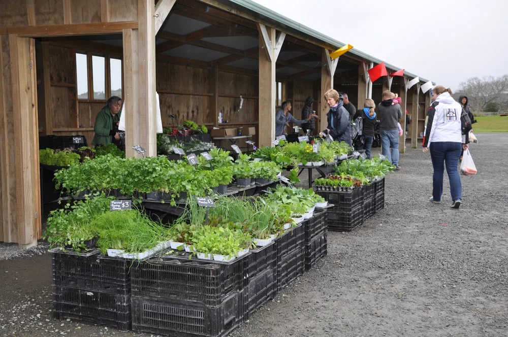 Clevedon Farmers Market — THE FOODIE INC