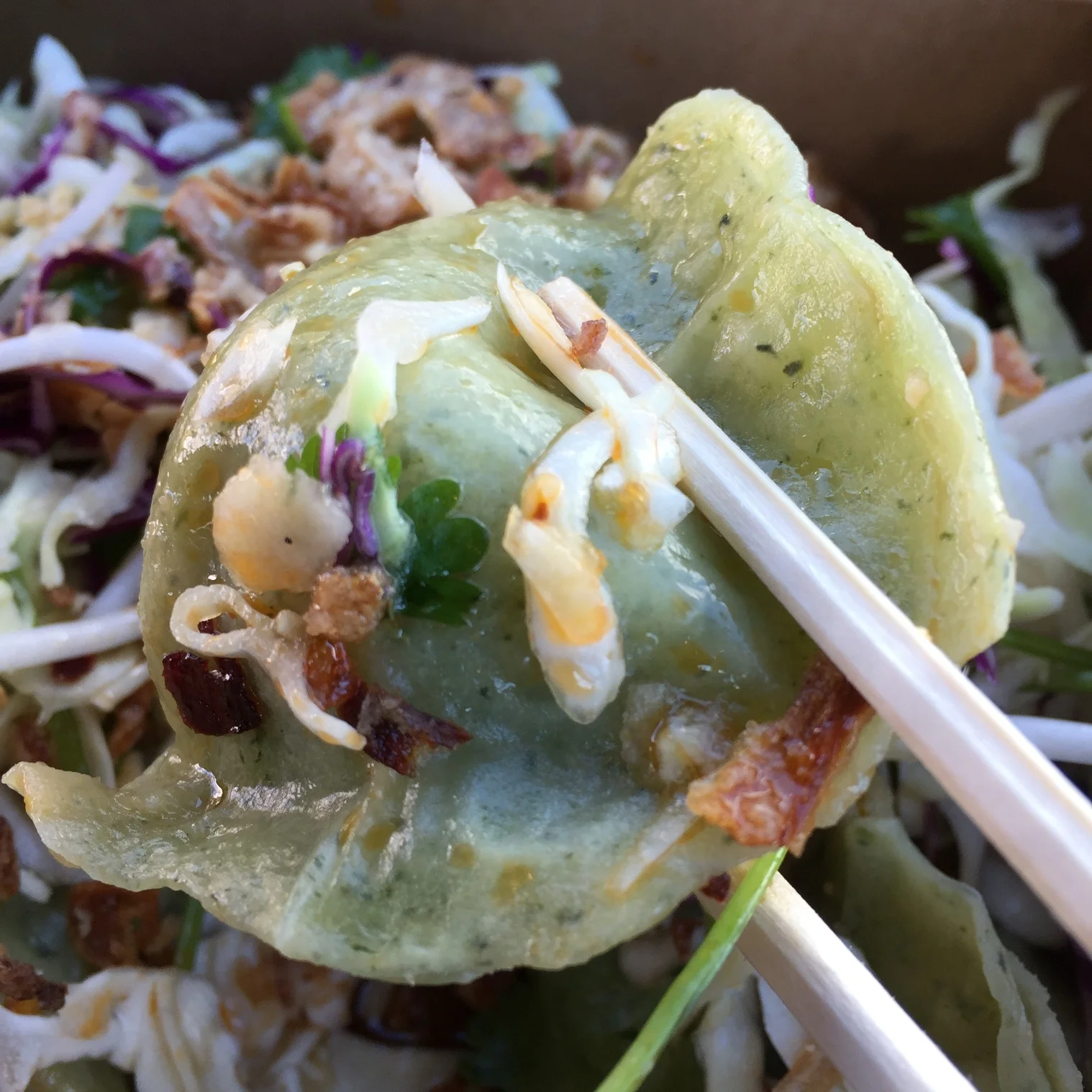 Dumplings and more — THE FOODIE INC