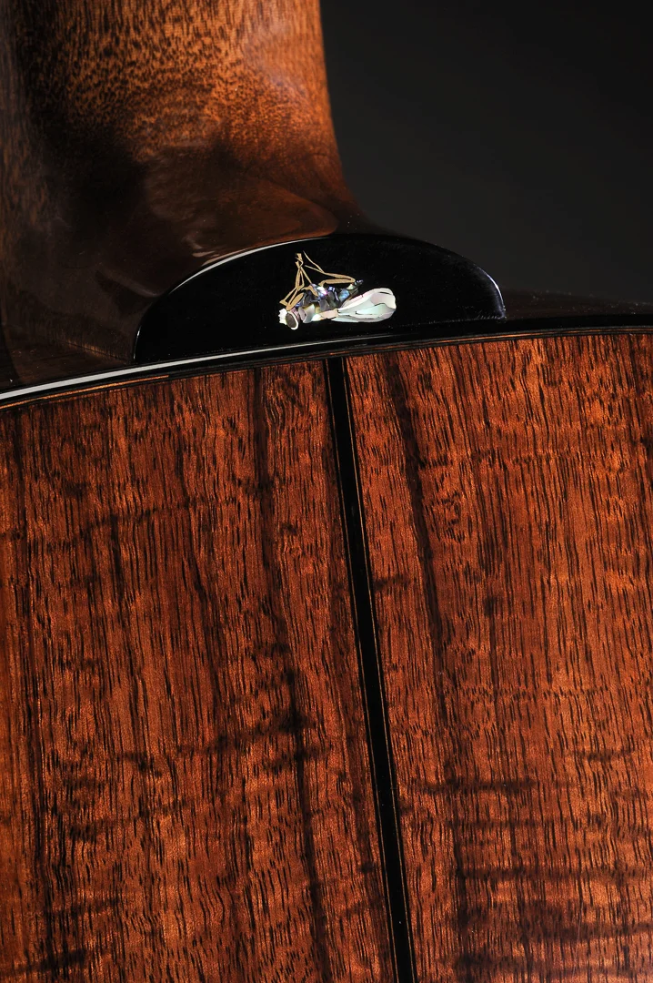 Gallery — Jeff Traugott