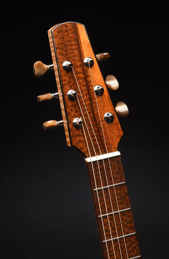 Mar 2020 Model R Cutaway Maple/German/Snakewood. Unusual for me to use ...
