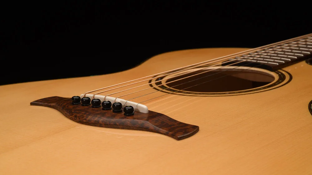 Mar 2020 Model R Cutaway Maple/German/Snakewood. Unusual for me to use ...