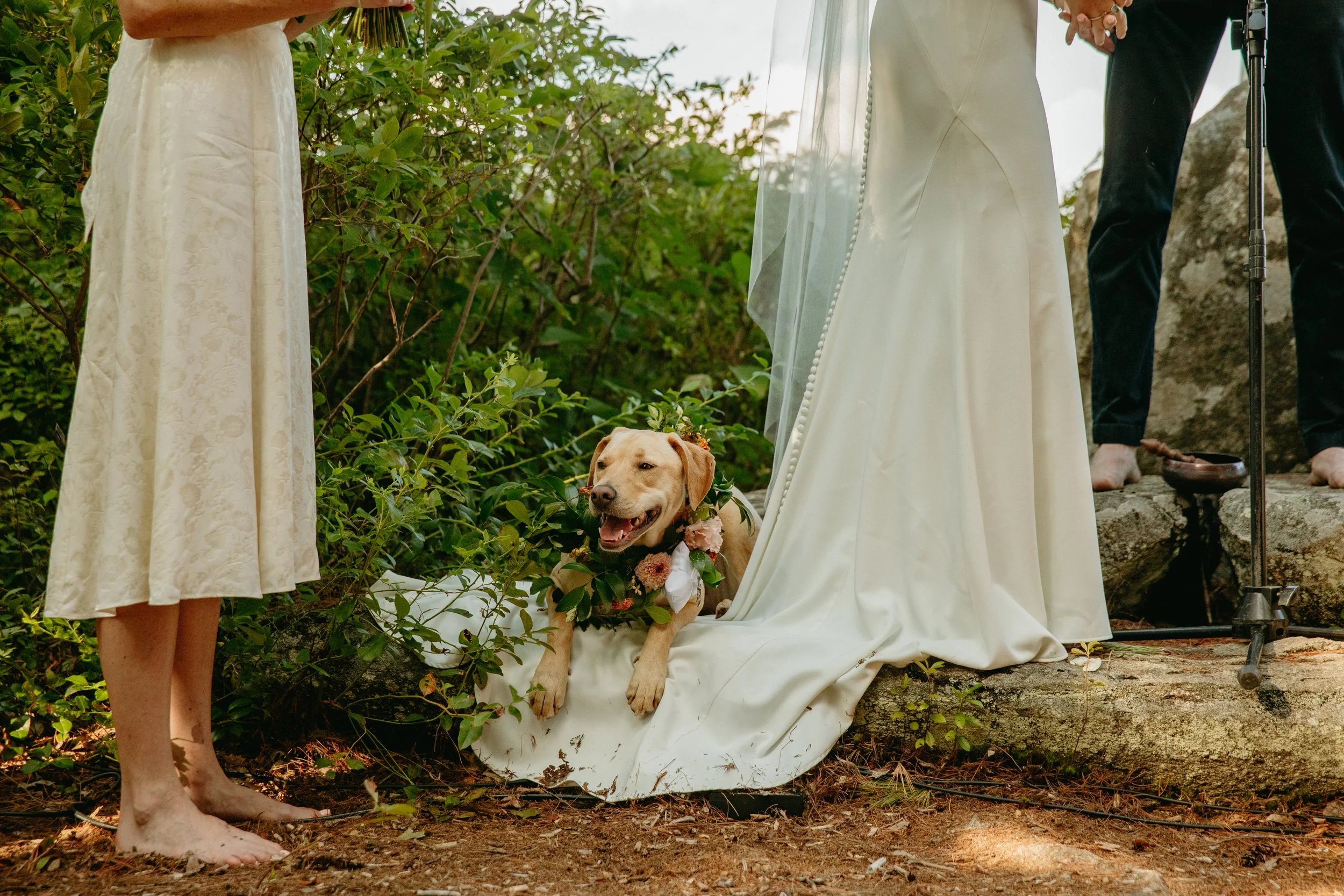 Private estate wedding in holderness new hampshire on squam lake and ...