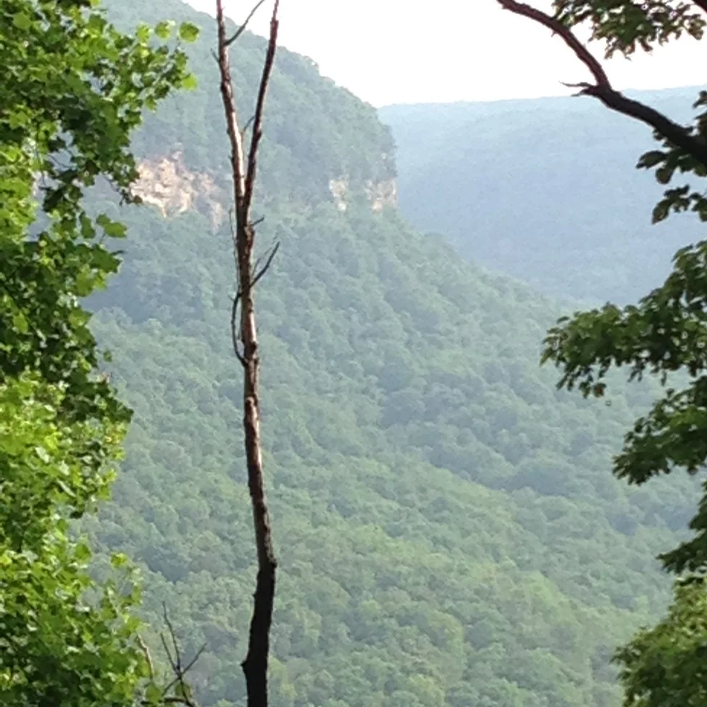 Gorge History | TRGT