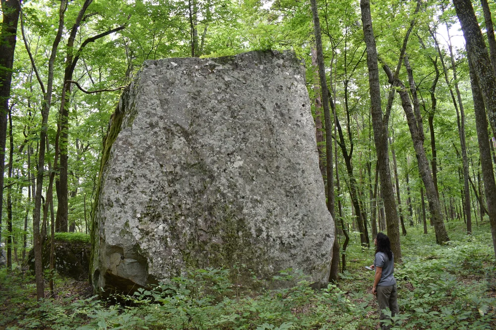 Pot Point Nature Loop Trail in the Tennessee River Gorge outside of ...