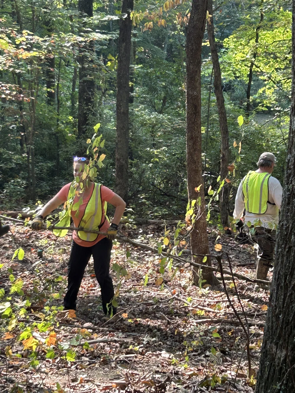 Forest Restoration in the Tennessee River Gorge: Aetna Mountain Bogs | TRGT