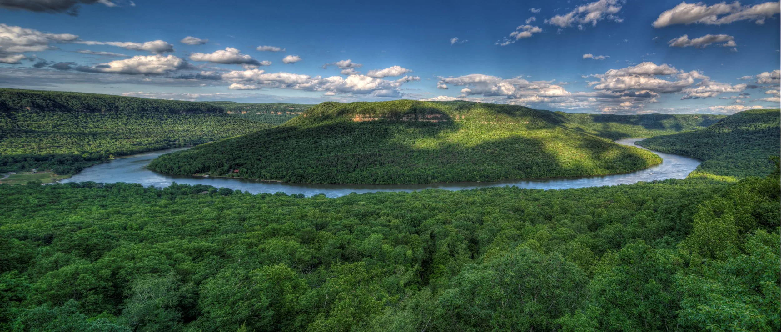 Tennessee River Gorge Wildlife Research: The Wood Thrush | TRGT
