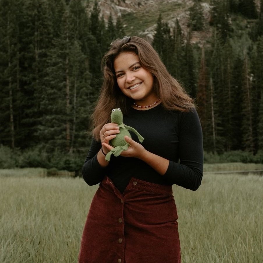 About Us — Seesaw Theatre