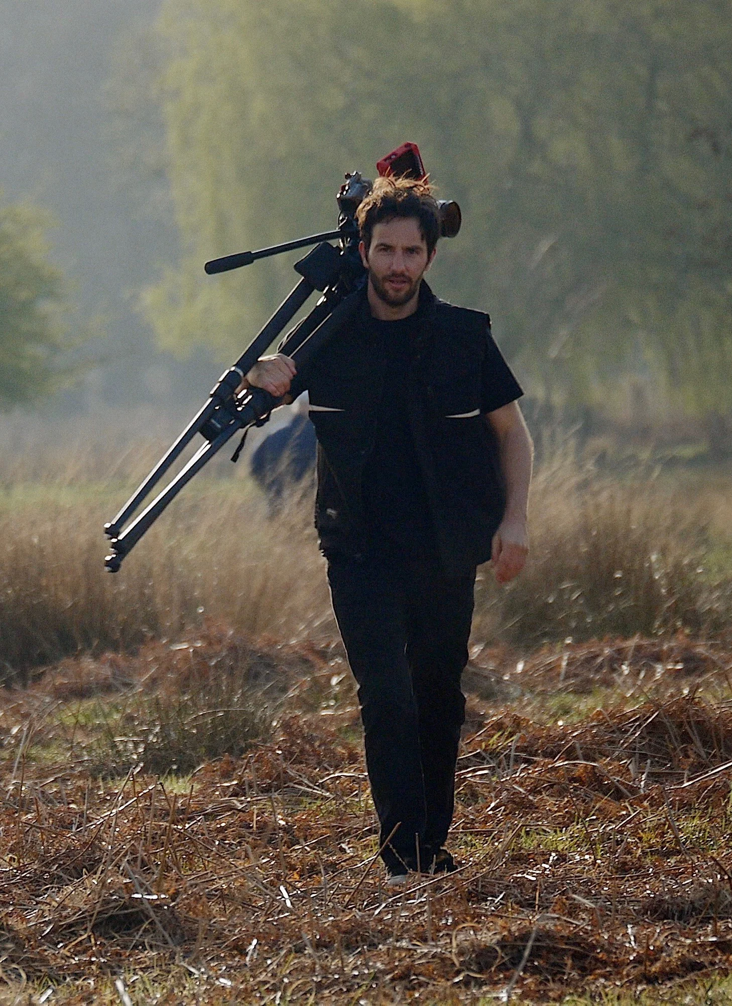 alexpasquini.com — Alex Pasquini.com