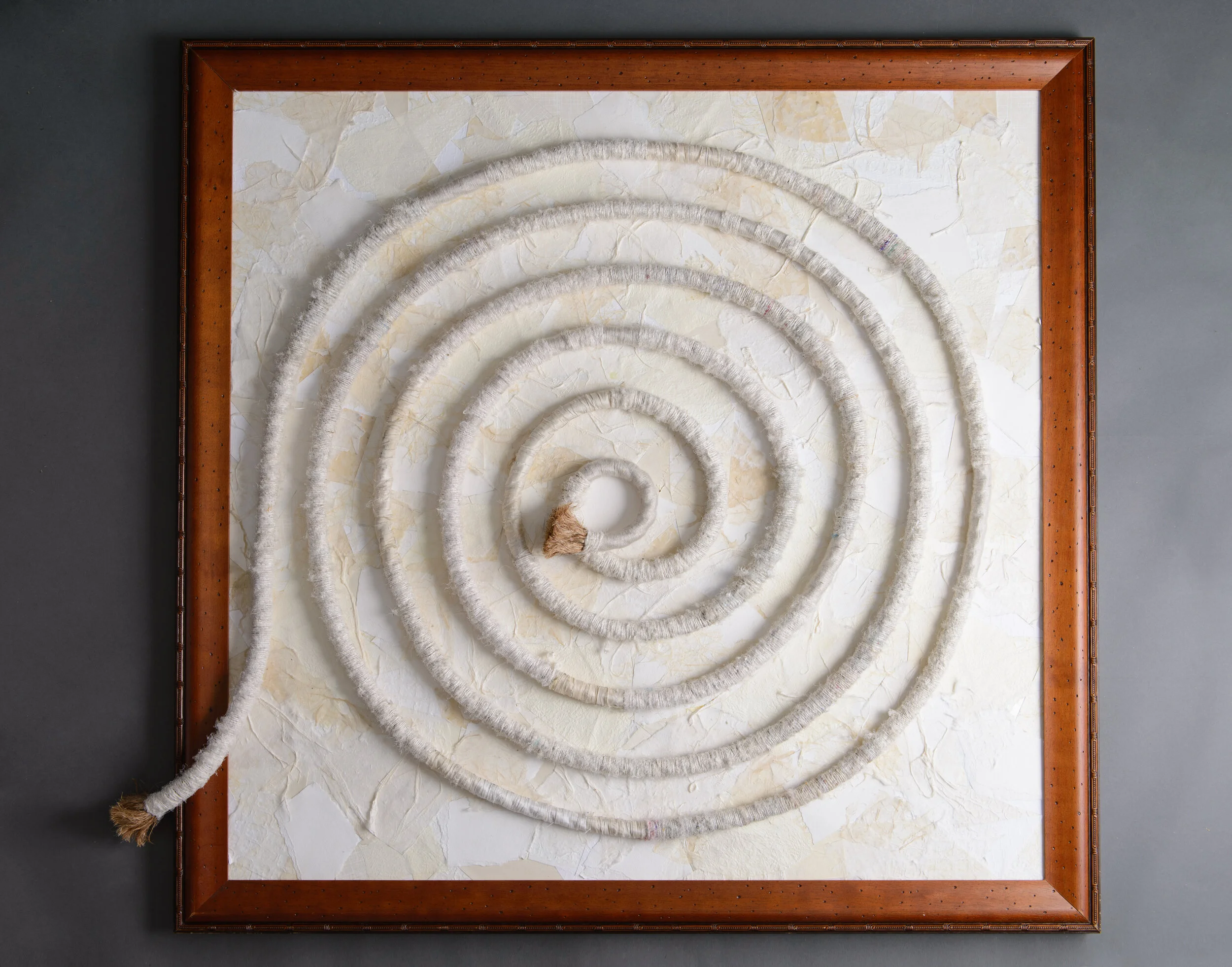 FIBER — Nancy Pollock