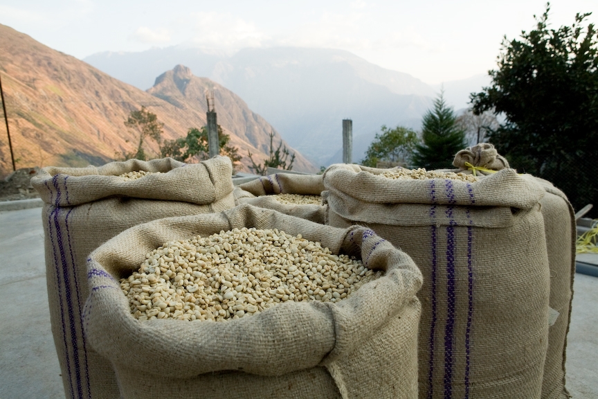 FAIR TRADE COFFEE HOUSE