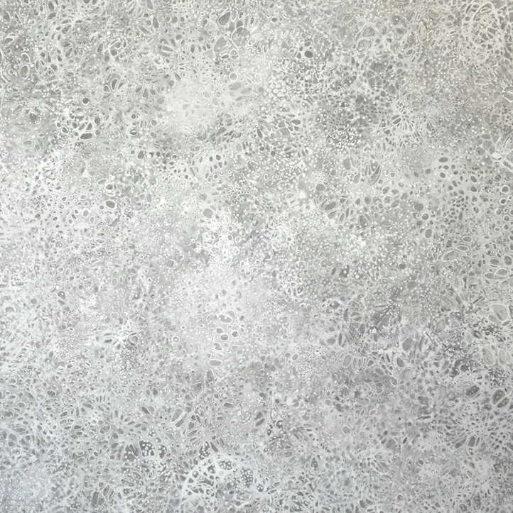 Denise Townsend — Lucid Art Foundation