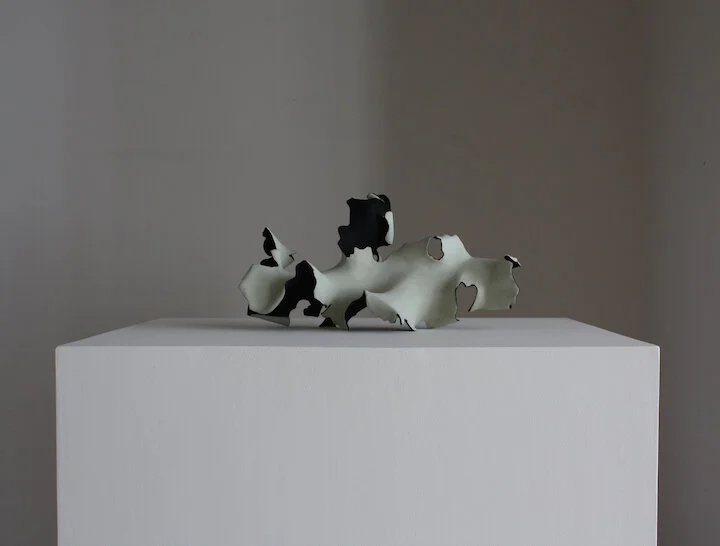 Morgan MacLean — Lucid Art Foundation