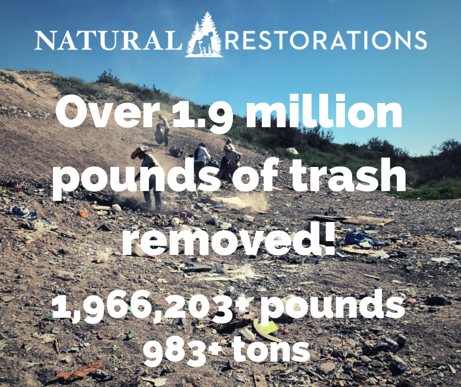 Natural Restorations
