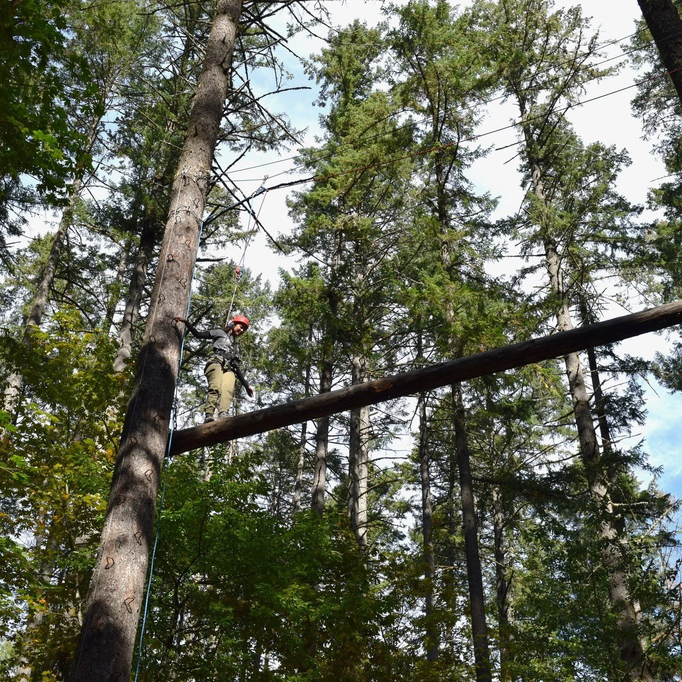 Confluence Environmental Center