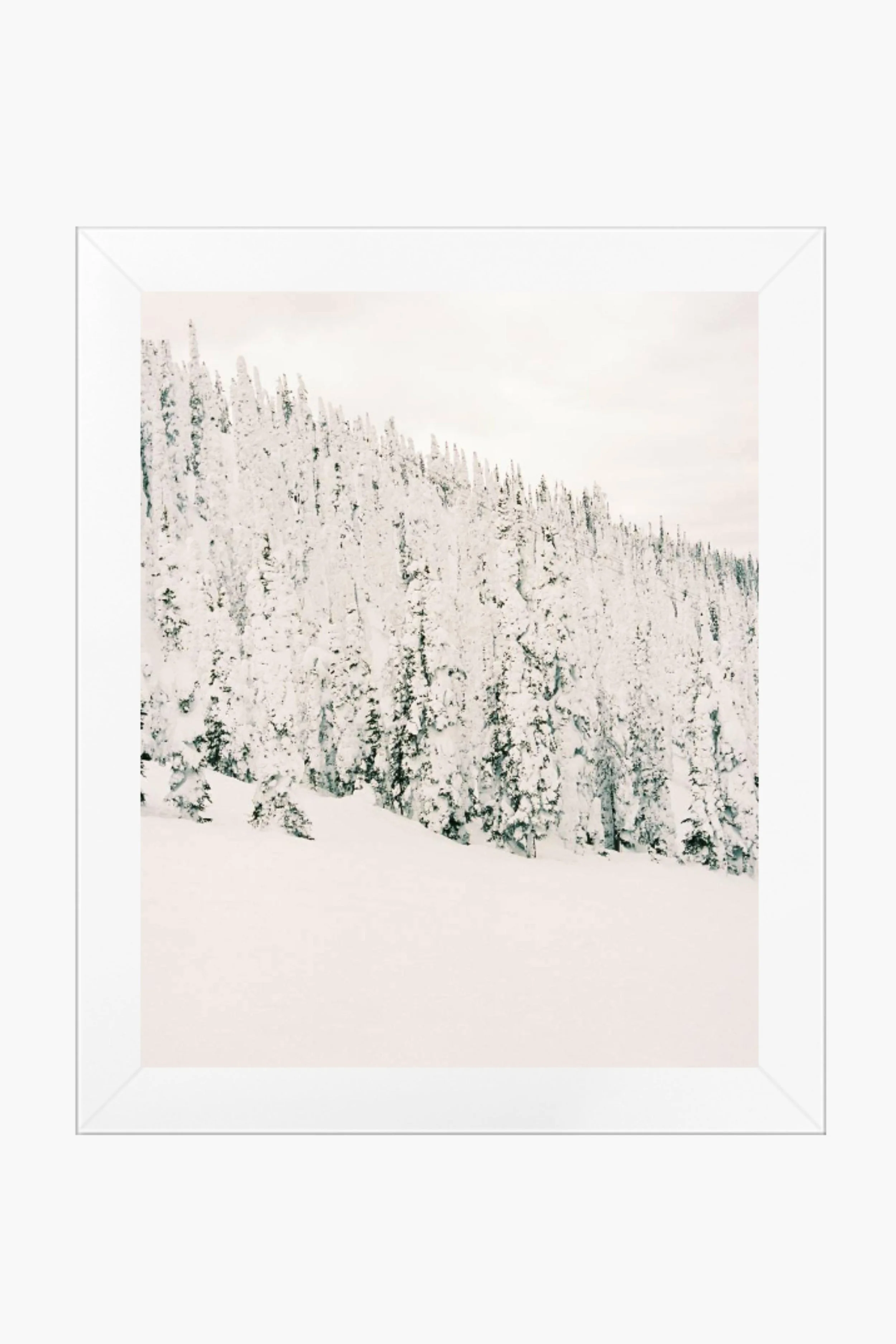 PRINTS — Katie Slater Photography