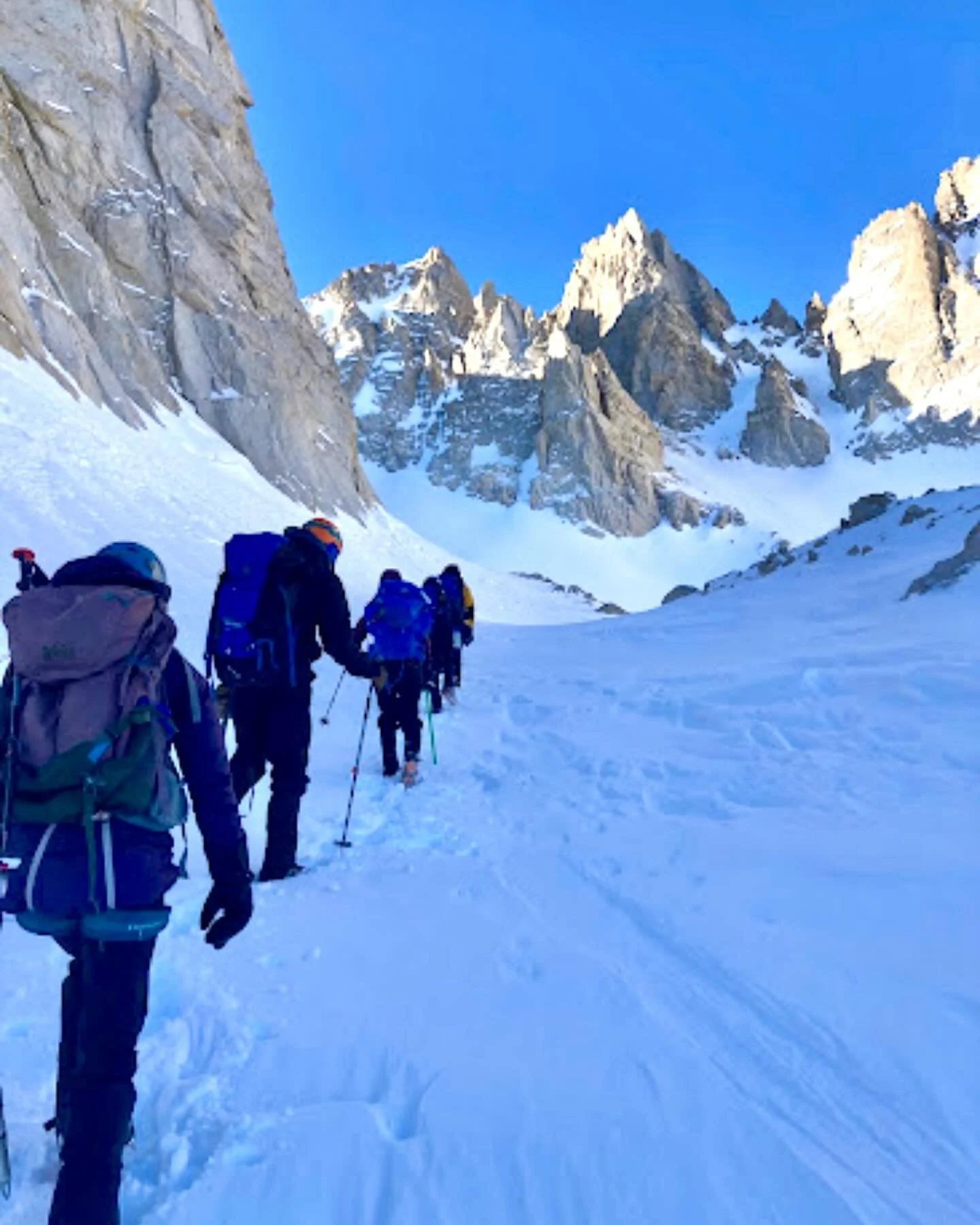 International Alpine Guides