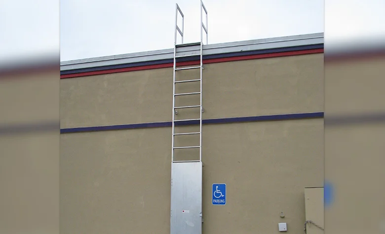 Aluminum Fixed Ladders | Platforms & Ladders | Platforms and Ladders