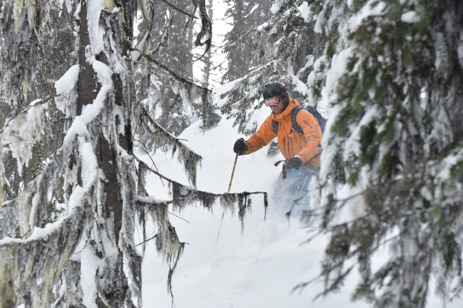 Ultimate Powder Highway Ski Tour- 12 Days | Fresh Adventures