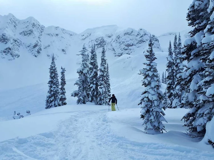 Ski The Powder Highway | Fresh Adventures