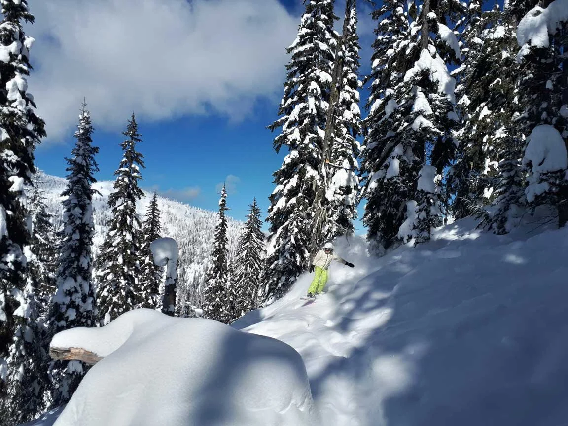 Ski The Powder Highway | Fresh Adventures