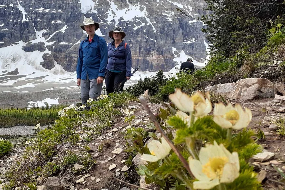 Mt Robson Backpacking Tour | Fresh Adventures